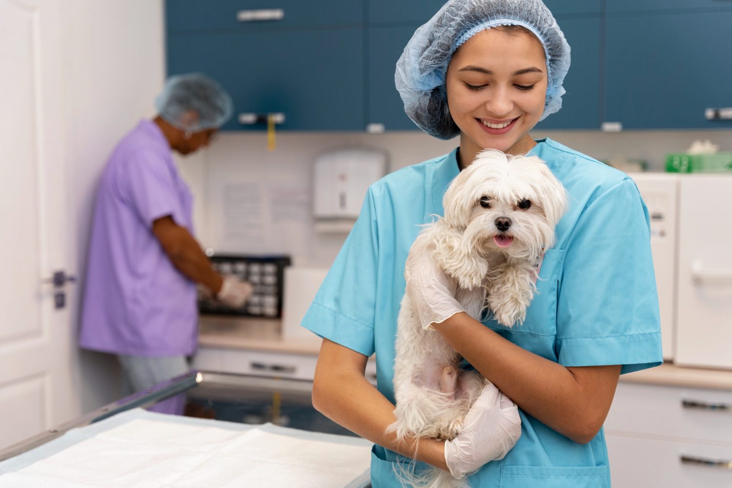 Inventory Challenges Facing Veterinary Offices Today - RxCount